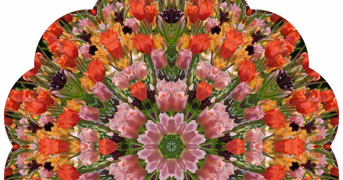 Selep Imaging Blog: Kaleidoscope Photoart