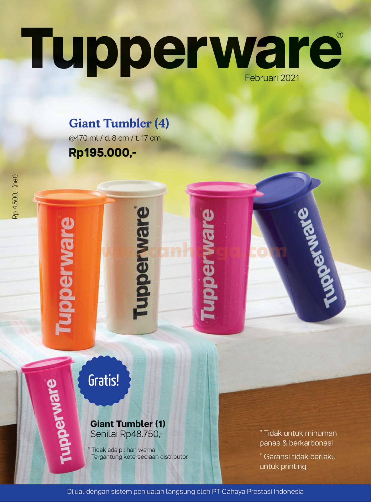 Katalog Tupperware Brosur Promo Februari 2021 | scanharga