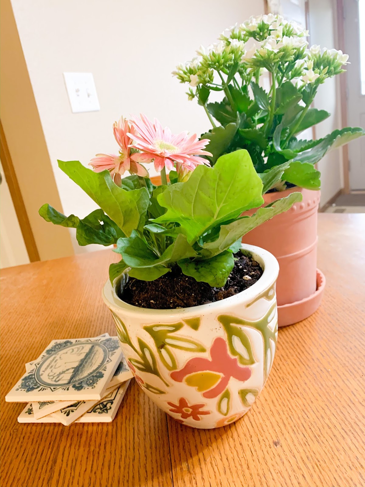 Target Flower Pots for Indoor Plants