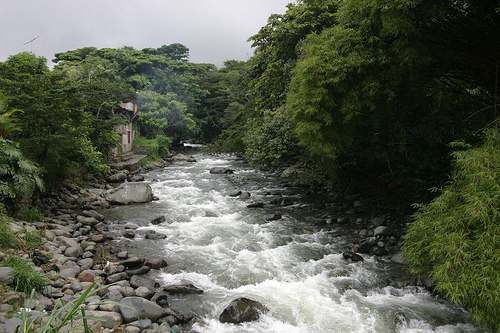 LOS 7 RÍOS DE CALI: 2019