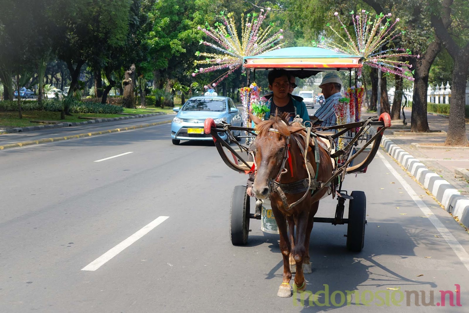 De delman, een traditioneel vervoermiddel
