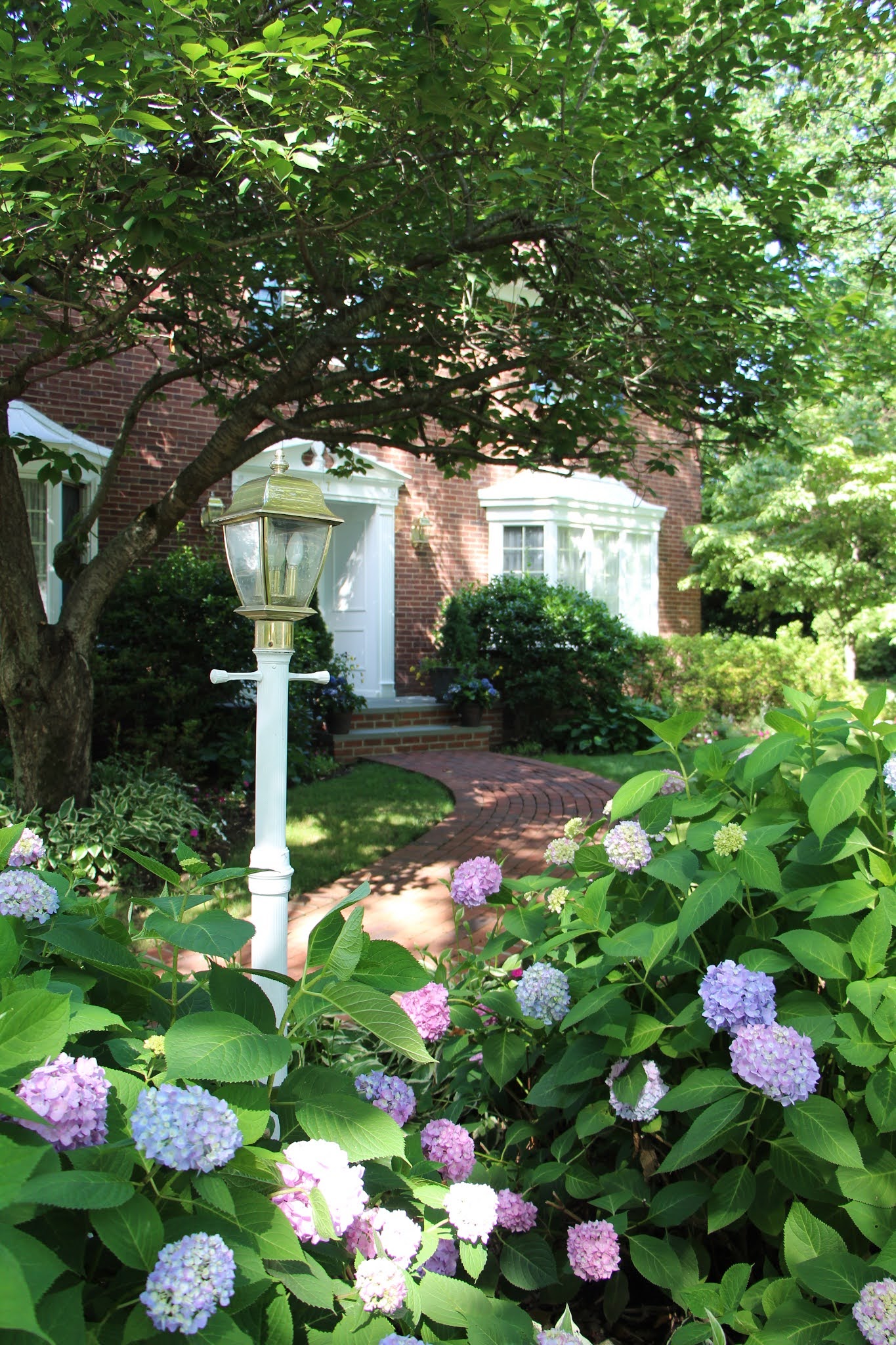 The Best White Dresses for Summer and the Prettiest Hydrangeas | Tall ...