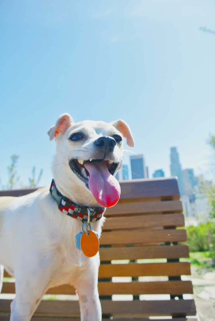 Smile! Spring is Here! :) — HAPPYHAZEL