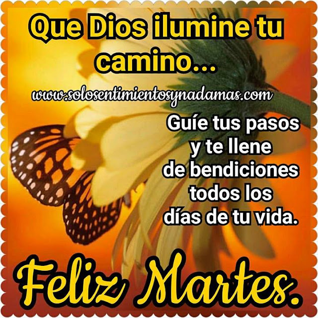 Que Dios ilumine tu camino... - Solo sentimientos y nada mas Que Dios ilumine tu camino... - Solo sentimientos y nada mas