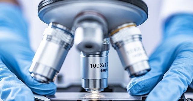 What is Biomedical Engineering? | Types of Medical Engineering ...