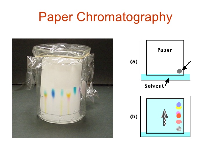 Classification Of Chromatography Major Science And Technology classification-of-chromatography-major-science-and-technology