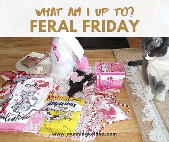 Feral Friday: What Am I Up To? | Stunning Keisha