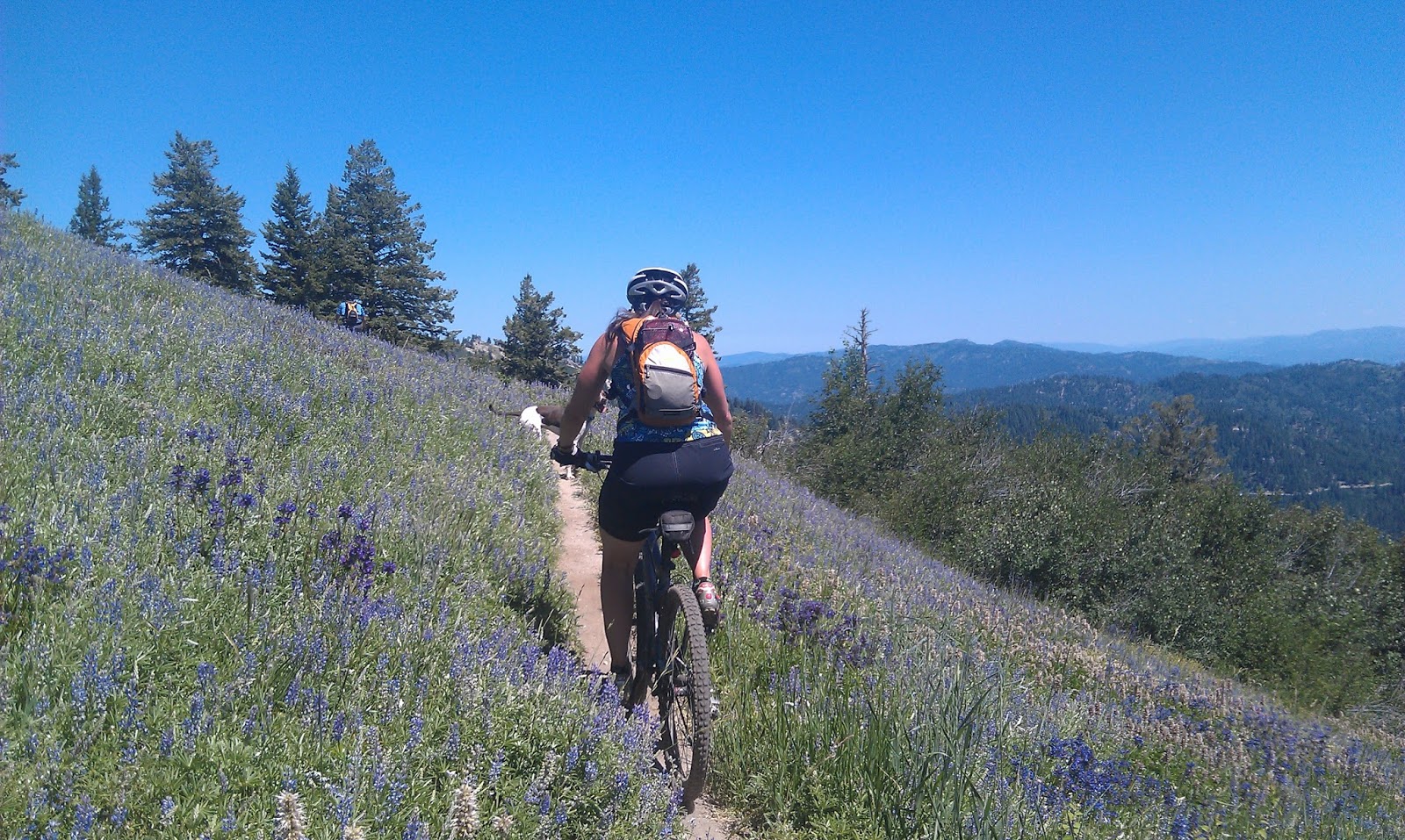 Stueby's Outdoor Journal: Camp overnight at Bogus Basin; Go hiking ...