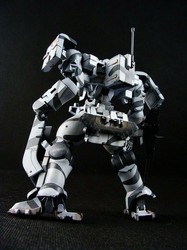 Custom Build: HG 1/144 Tieren Ground Type