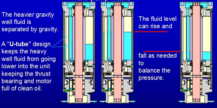 Electric Submersible Pumps: Protector