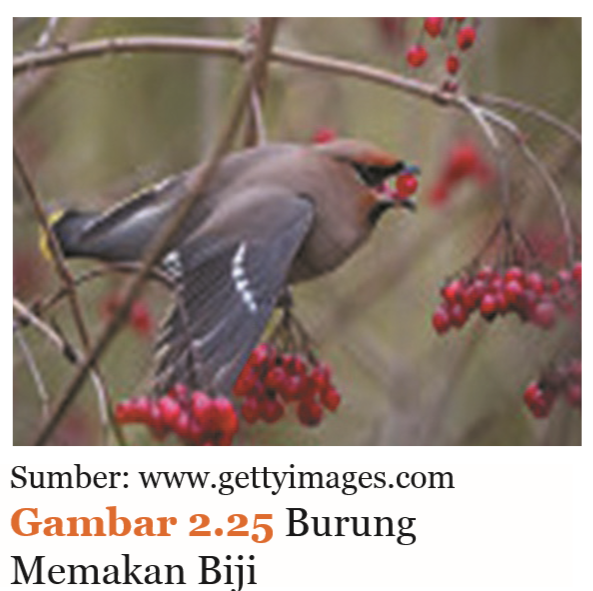 Blog Belajar IPA SMP: 07/25/21