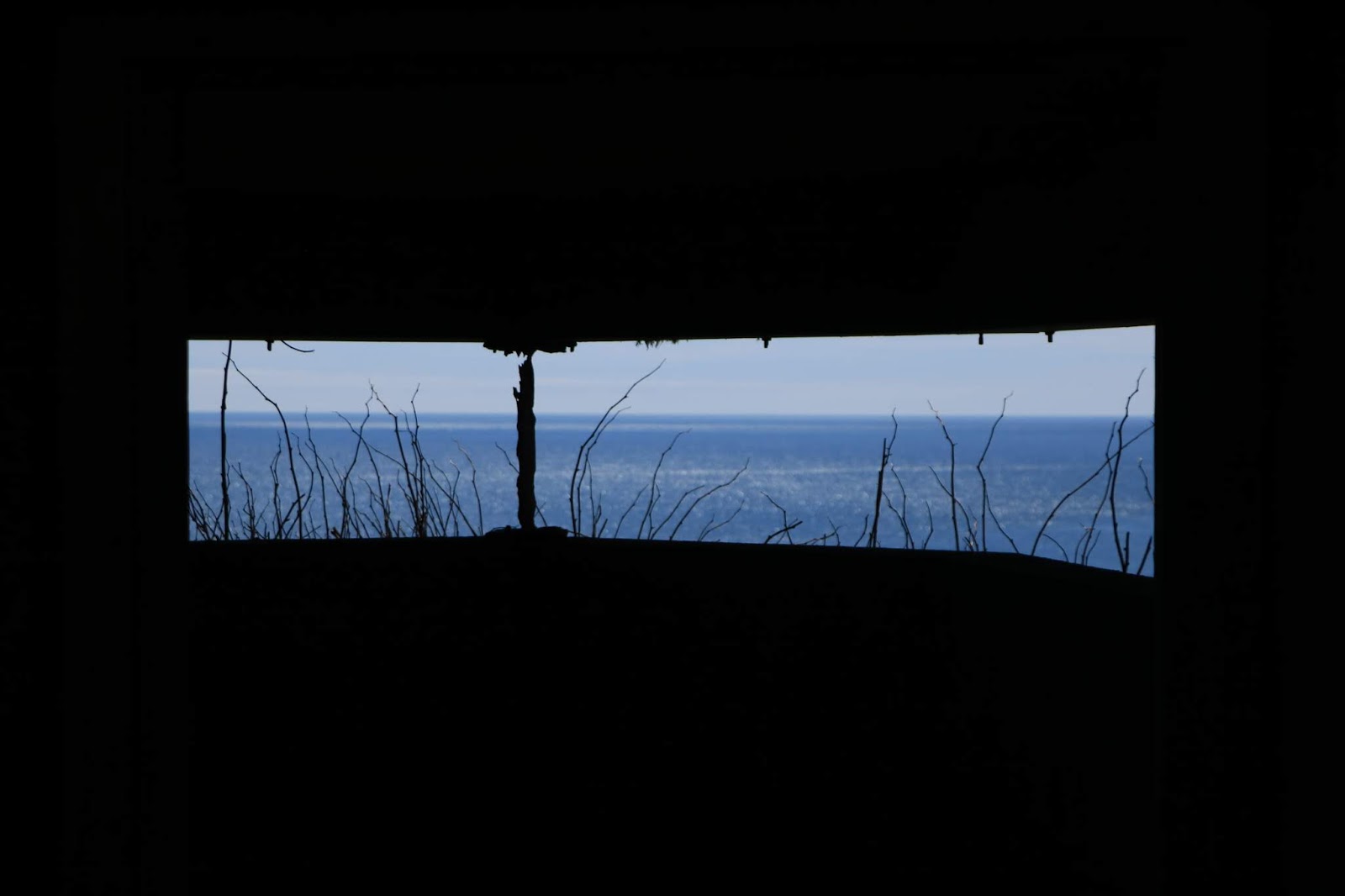 Notes from a Temperate Jungle: Kodiak revisited