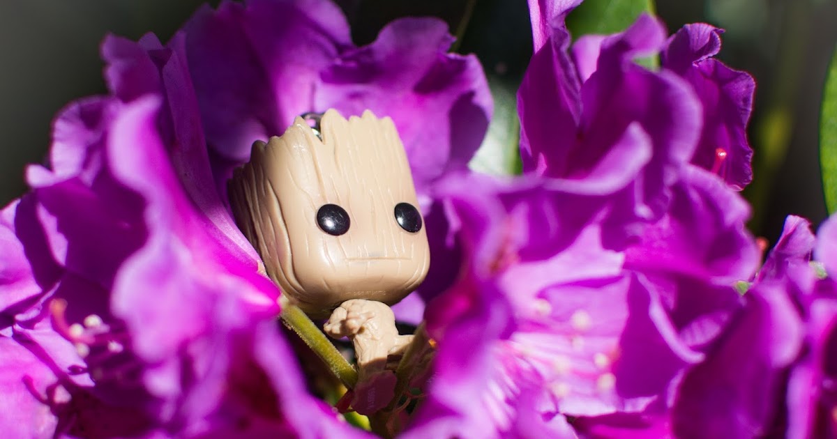 Through My Looking Glass: 142/365 Sleeping Groot