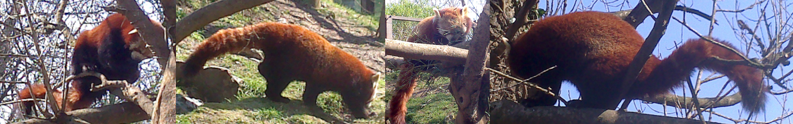 Admiring Azeroth: March 2013