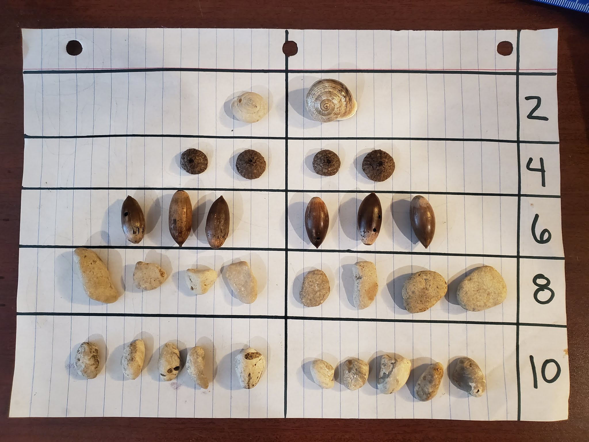 Backyard Math: Activities Using Nature Items as Manipulatives