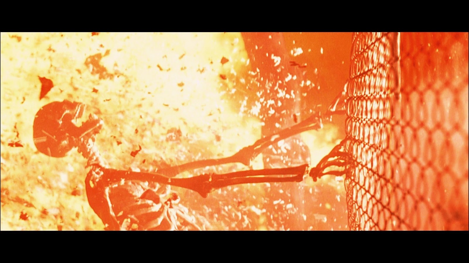 Sentimaster: Terminator II. Judgment Day - 1991