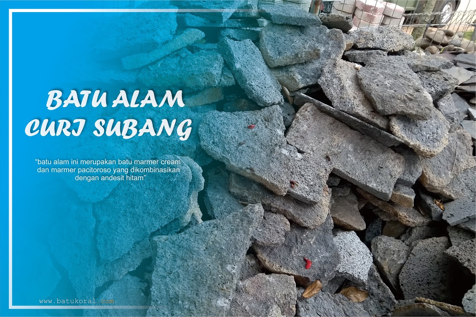 HARGA BATU ALAM CURI SUBANG MONSTER STONE DI JAKARTA TANGERANG ~ JUAL ...