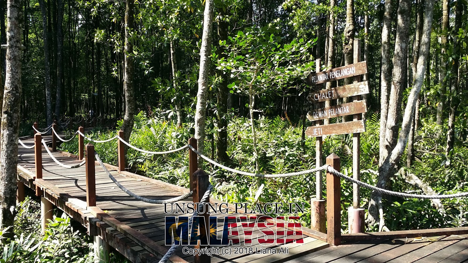 Jalan² ke Hutan Paya Laut Matang, Perak