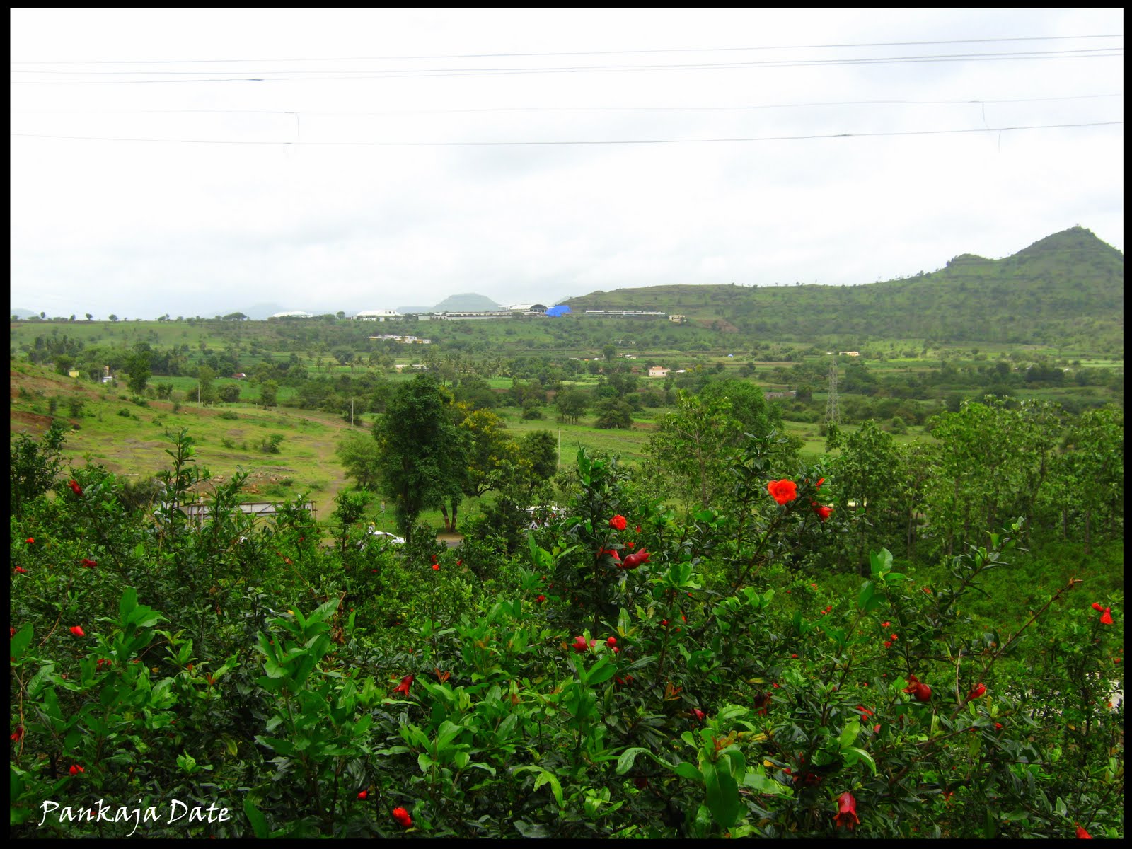 photokadha: The Field Trip (Part 1)