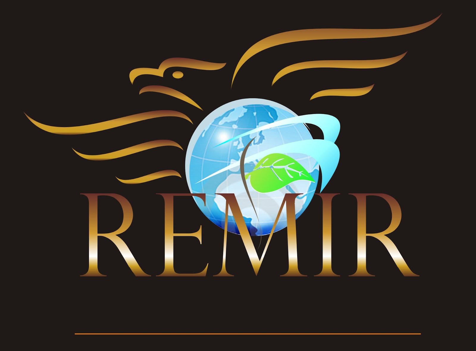 REMIR