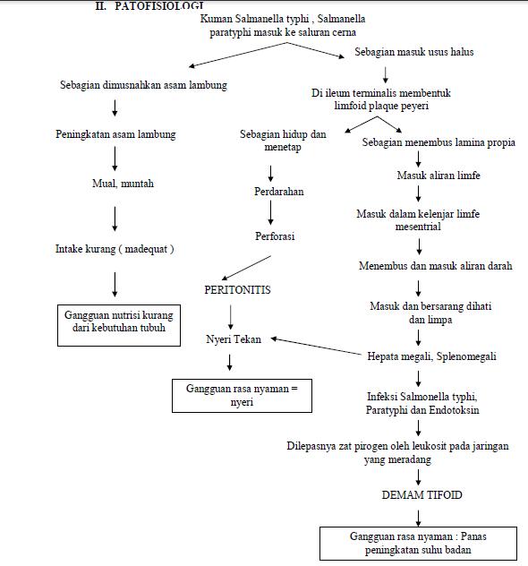 Puskesmas Perawatan Rimbo Bujang IX: Demam Thypoid