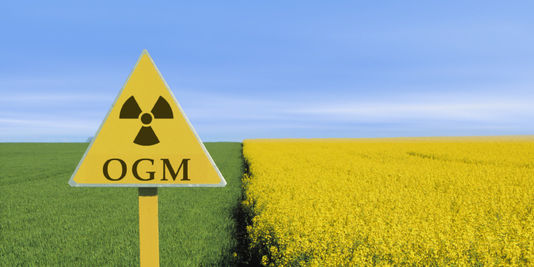 INRAA VEILLE SCIENTIFIQUE: Plantes génétiquement modifiées: Pour la ...