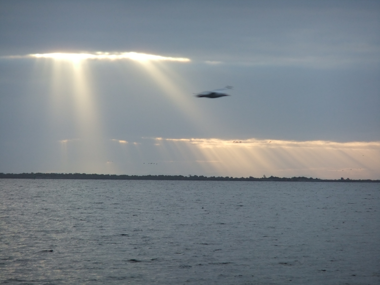 Unidentified Aerial Phenomena - scientific research: A new type of IFO ...