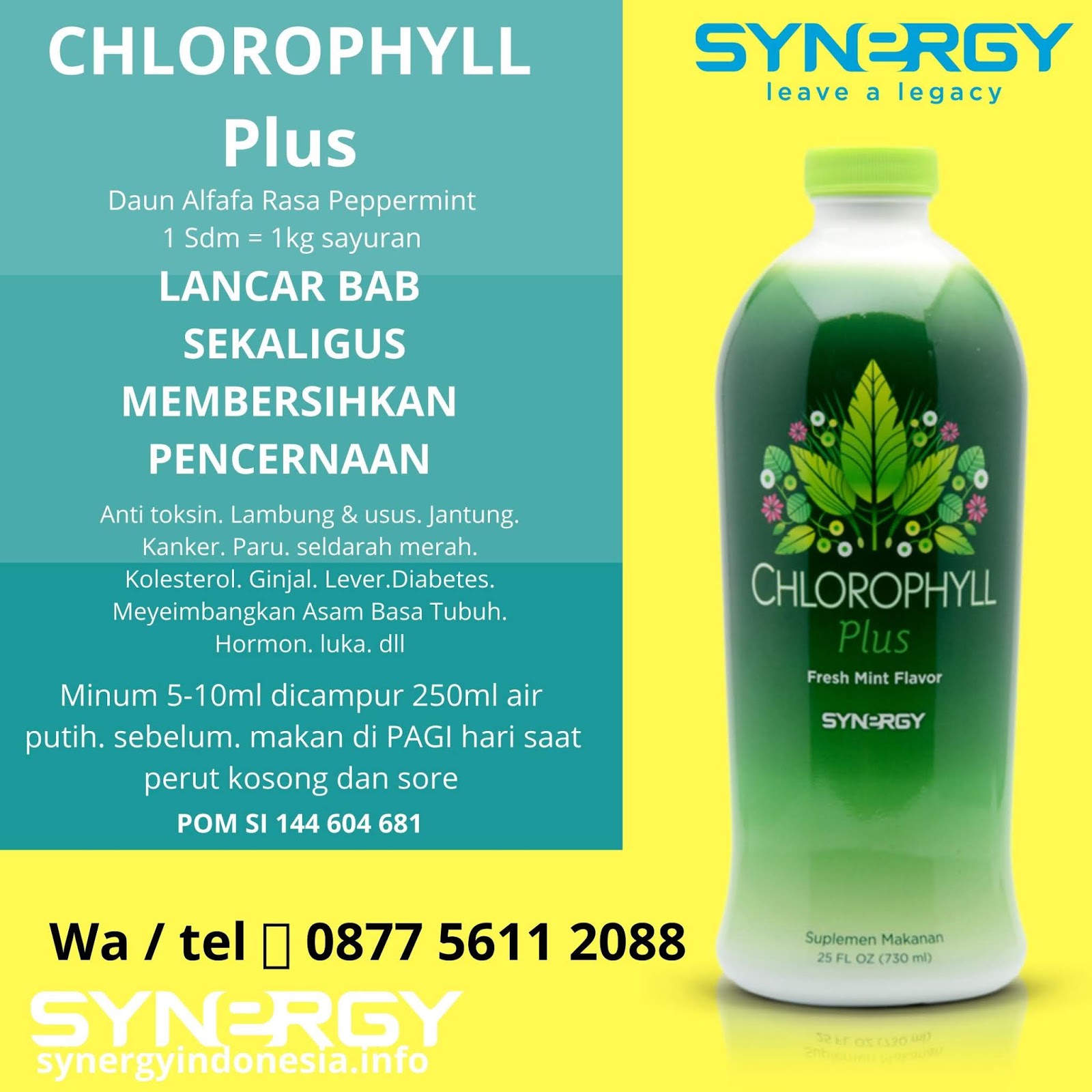 CHLOROPHYLL PLUS SYNERGY ~ CHLOROPHYLL PLUS SYNERGY