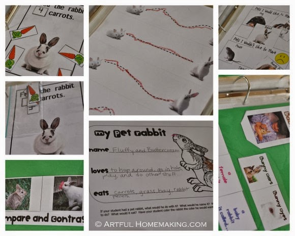 The Little Rabbit {Before Five in a Row} - Artful Homemaking