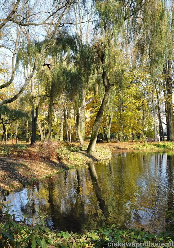 Around The World: Park Planty