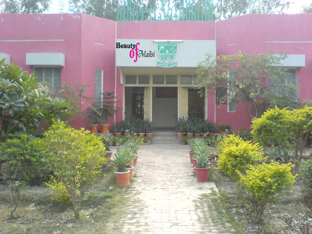 Beauty of Mailsi: Govt Degree College Mailsi Punjab Pakistan