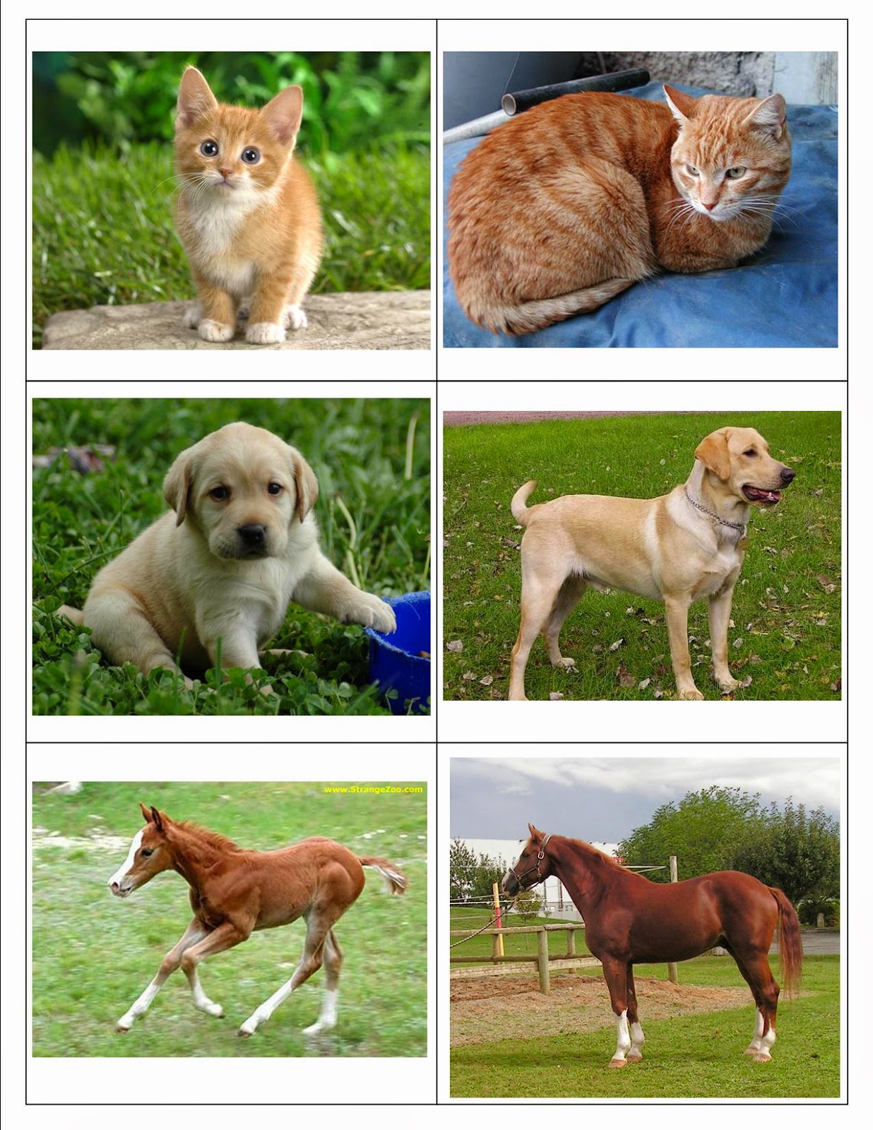 Sunbeams and Sundaes: Finding Joy in LDS Teaching: Lesson 1: I am a ...