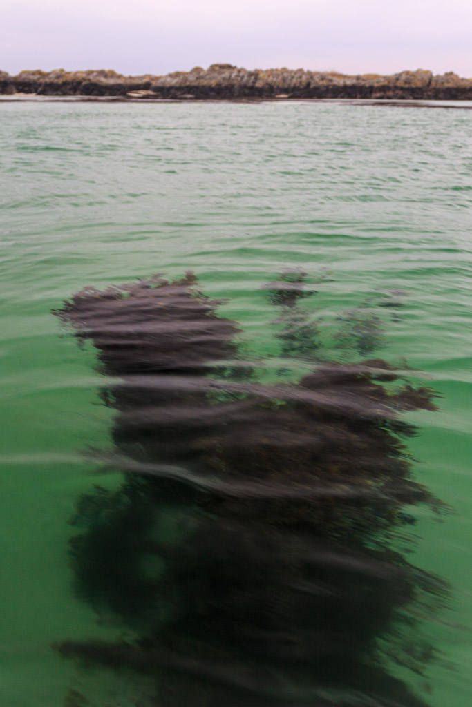 Sea kayaking with seakayakphoto.com: 56.9 degrees North, the coral ...