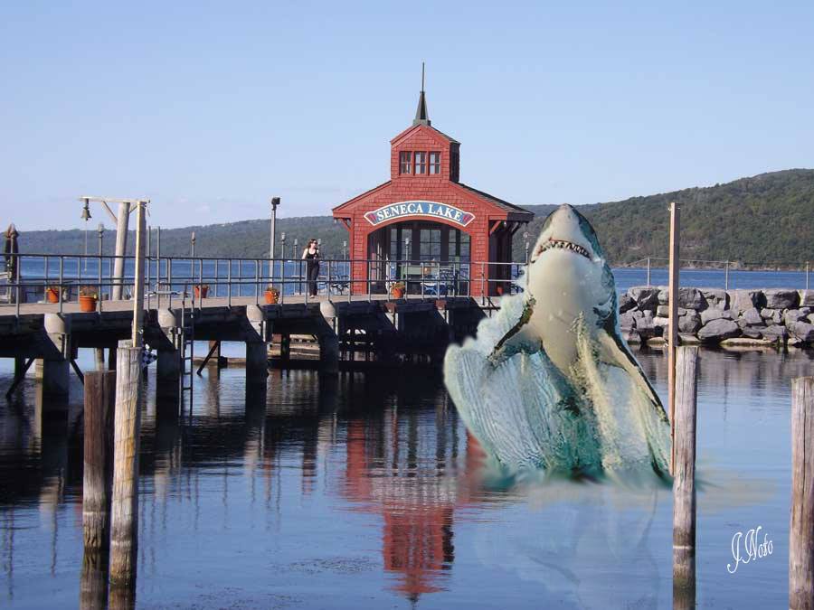 Joseph Noto Digital Art Portfolio: Fantasy/Logos/Manipulations