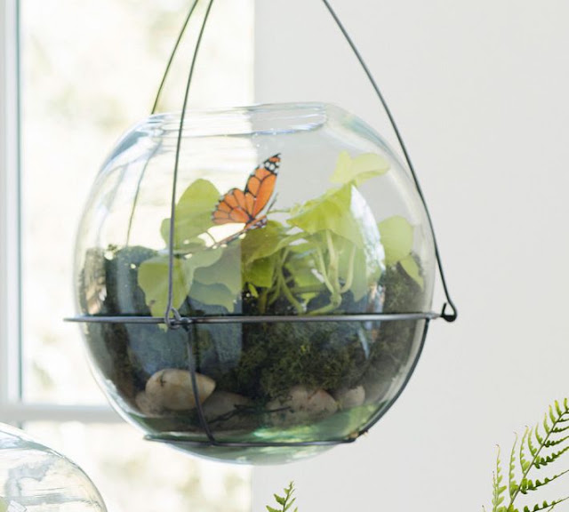 Lisa Mende Design: Terrariums~ The Answer to Low Maintenance House Plants