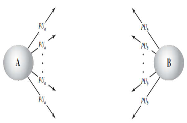Chirag's Blog: Public Key Distribution in Network Security