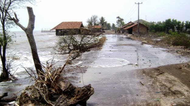 Pejuang Lingkungan Ditengah Pergulatan Abrasi Pantai | Basecamp Petualang