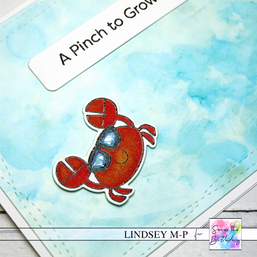 Bashful Blogging: Seize the Birthday: All About Summer