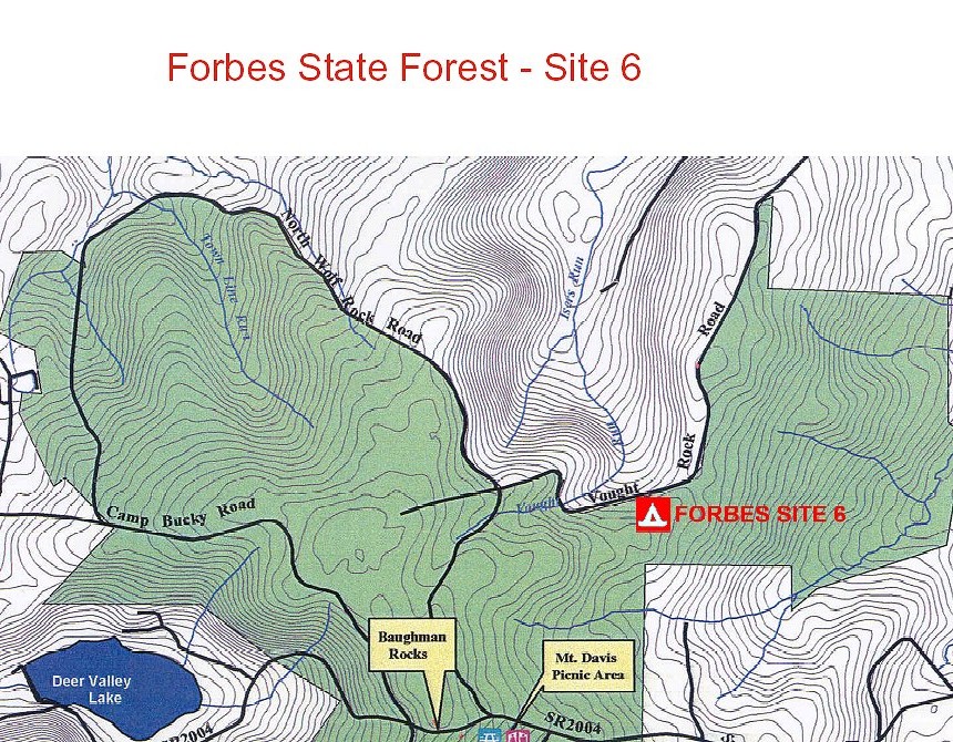 Beneath The Pennsylvania Sky: Forbes State Forest -- Site 6