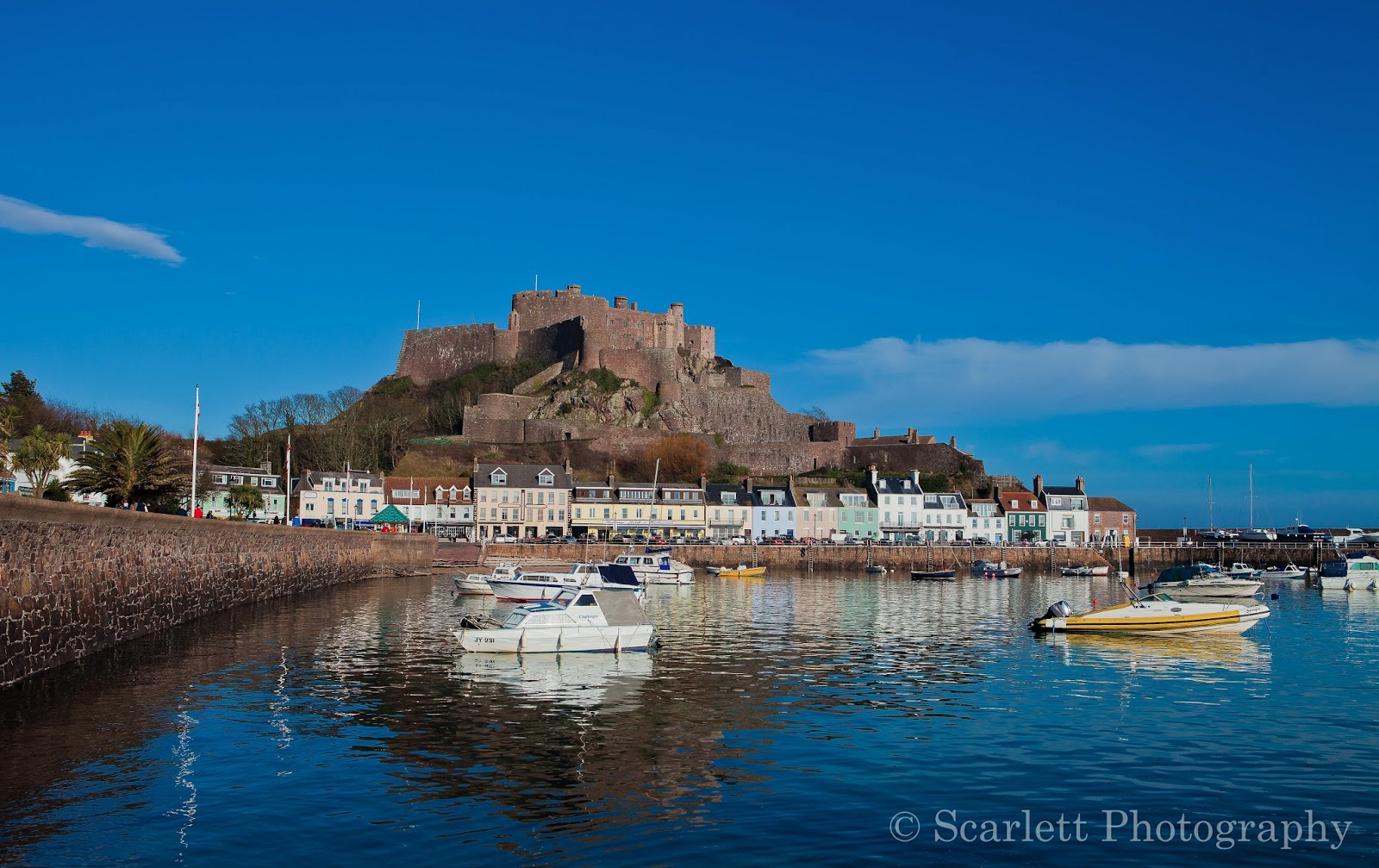 Key Findings: Glorious Gorey