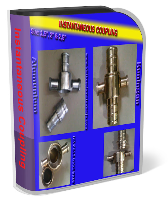 Instantaneous Coupling