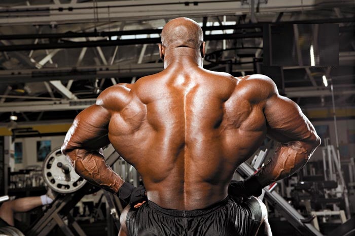 Bodybuilding Pic,s & Tips ( POWER HOUSE ): Body Builders Back View