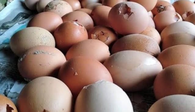 bahaya dibalik telur retak
