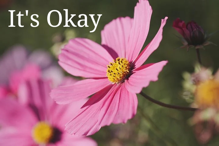 Top 10 It's Okay images, greetings, pictures for whatsapp ...