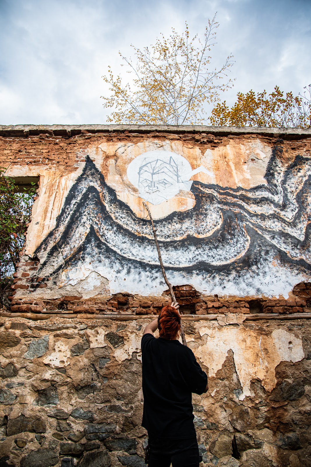 Illustre Feccia : RURAL MURAL~ Bulgarian Art Recidency