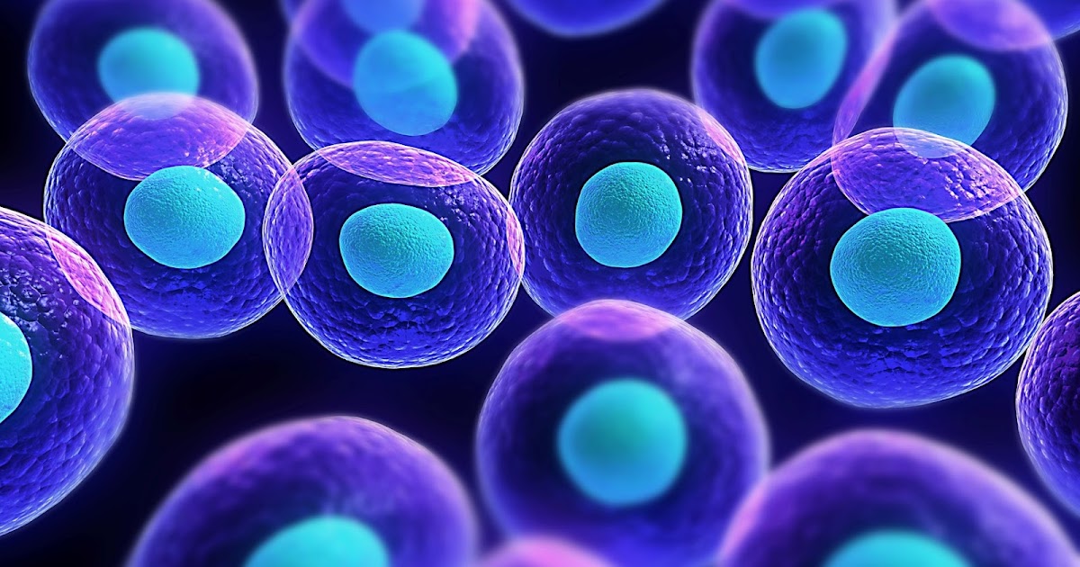 Cell-cell interactions: How cells communicate with each other