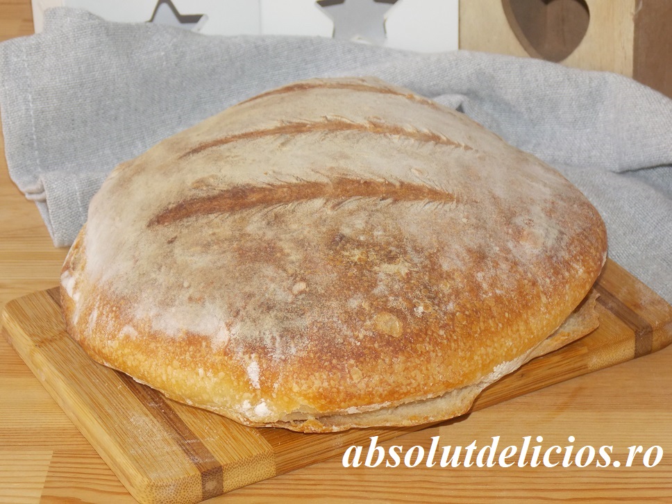 Absolut Delicios: PAINE CU MAIA NATURALA- CEA MAI SIMPLA RETETA (VIDEO)