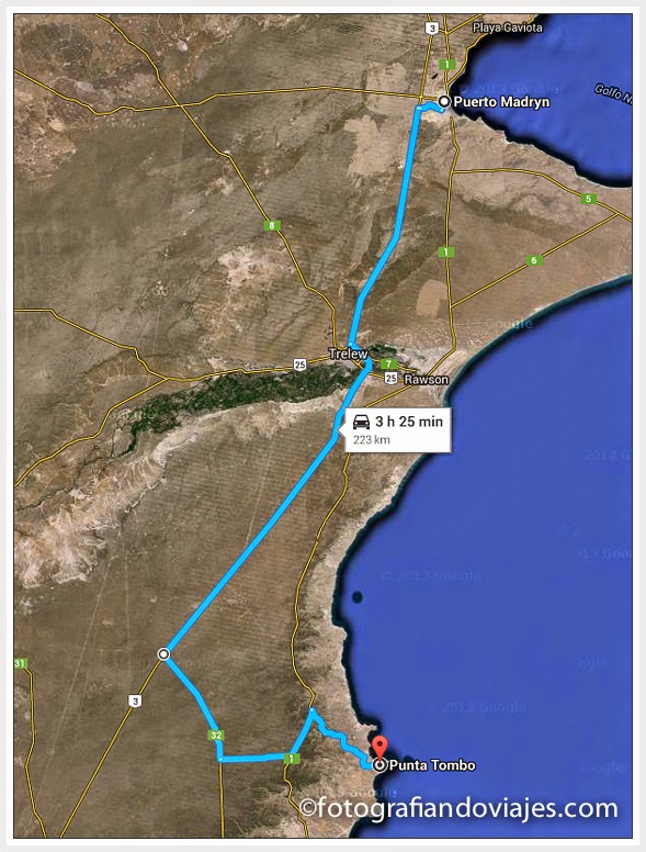 Punta Tombo: un millón de pingüinos de Magallanes en Argentina