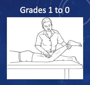 MMT Of Knee Flexion : ( Manual Muscle Testing), Grades