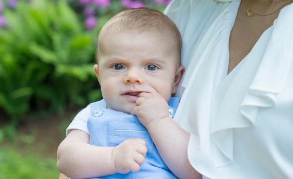 Prince Daniel went on a walk with his son Prince Oscar